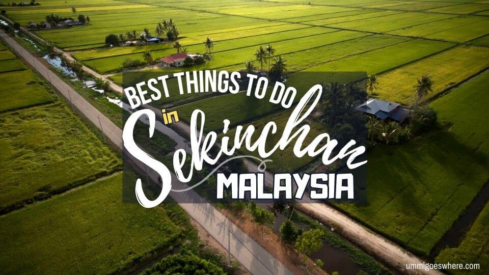 Top 16 Things to Do in & Around Sekinchan: A Complete Guide on Selangor ...